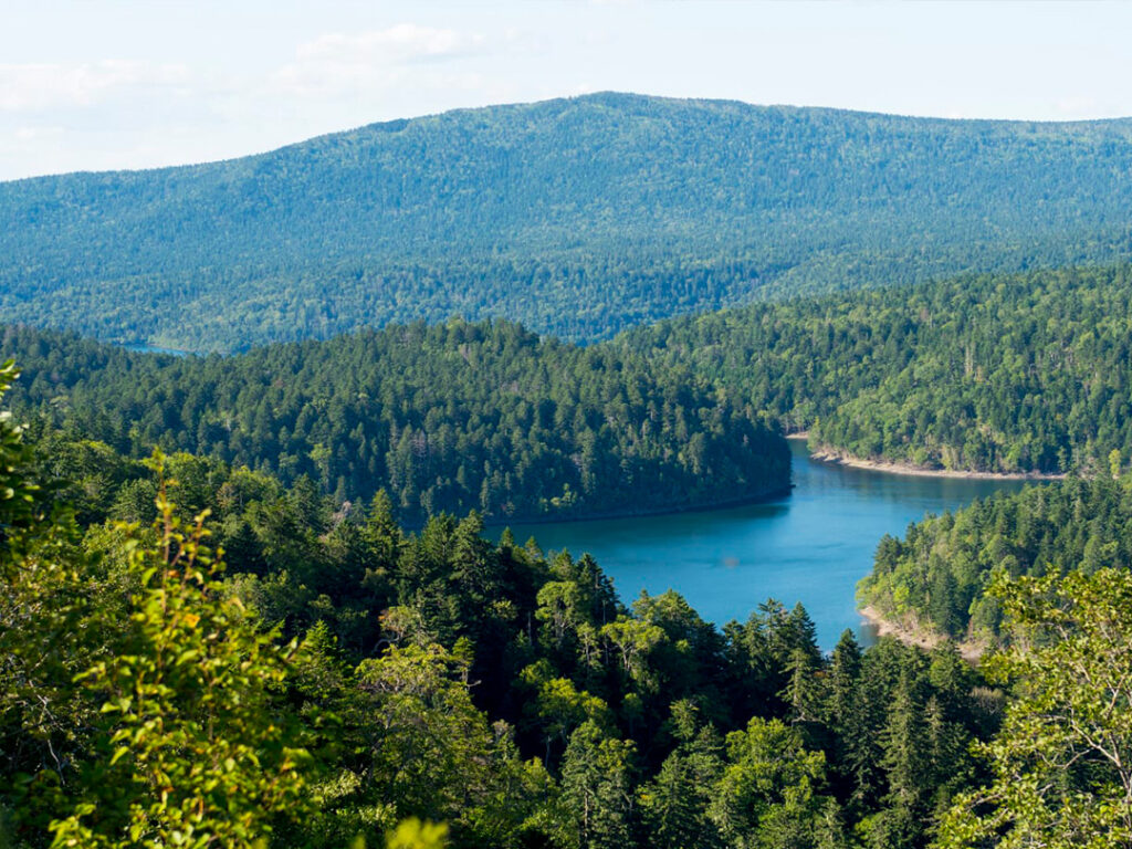 ฮอกไกโดเปิดตัวเฮลิคอปเตอร์ทัวร์หรู เจาะตลาดนักท่องเที่ยวกำลังซื้อสูง - WABIZ