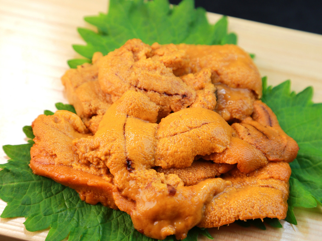 ญี่ปุ่นเปิดตัว ‘อุด้งอูนิ’ นวัตกรรมแก้ปัญหาขยะอาหารและฟื้นฟูทะเล - WABIZ